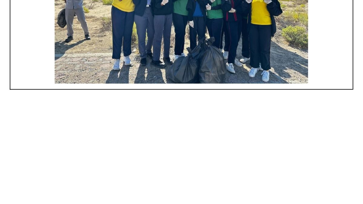 School Clean Up Program